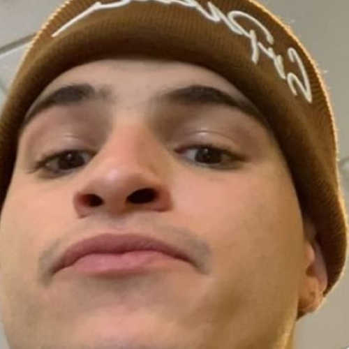 Create a ZOON'S PHASES Tier List - TierMaker