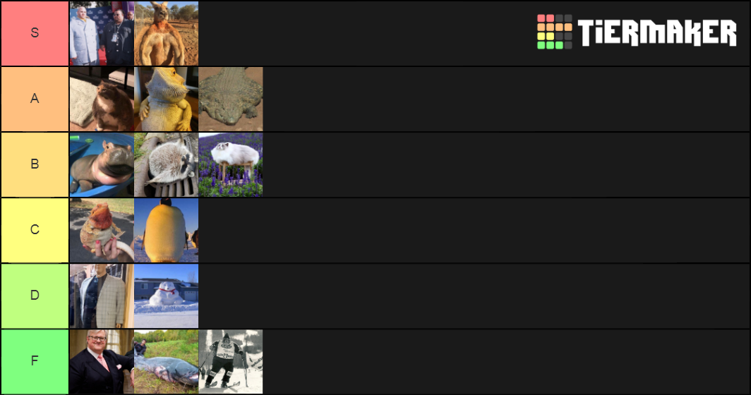 absolute units of the internet Tier List (Community Rankings) - TierMaker