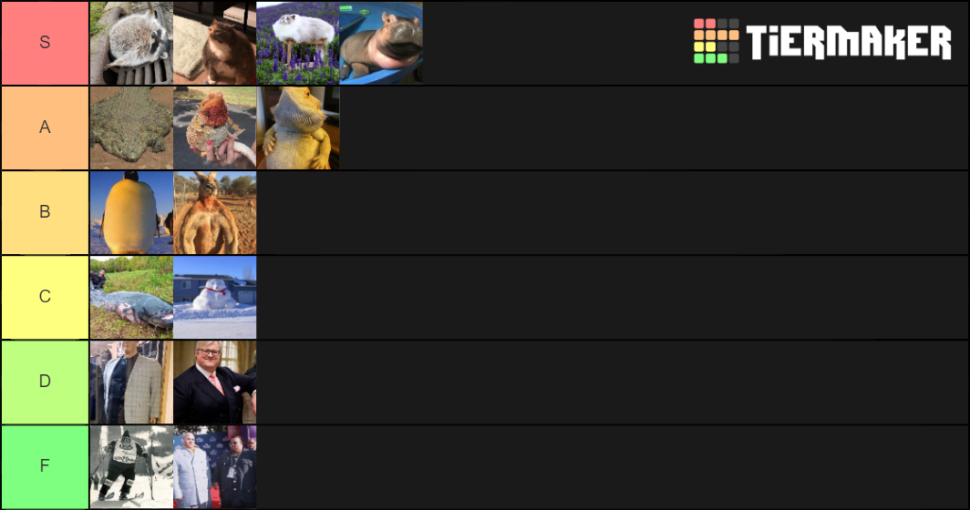 absolute units of the internet Tier List (Community Rankings) - TierMaker