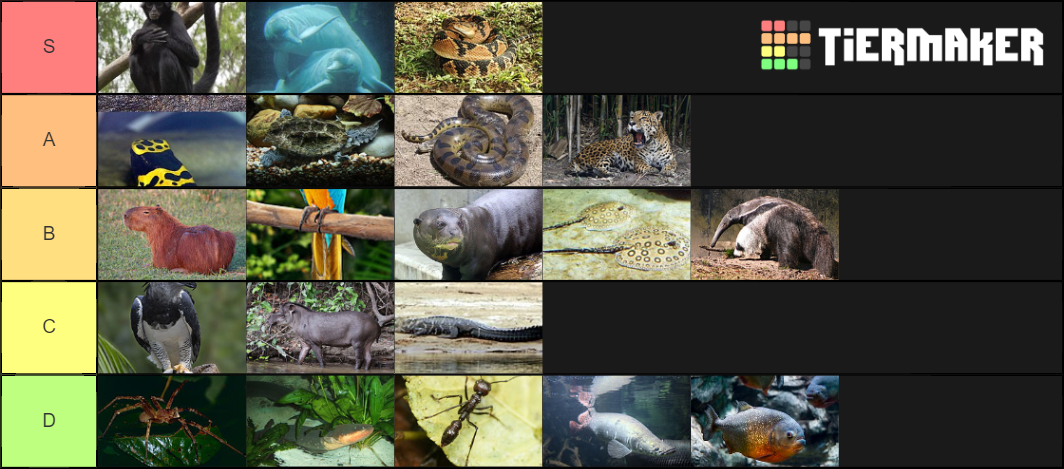 Amazon Wildlife Tier List (Community Rankings) - TierMaker