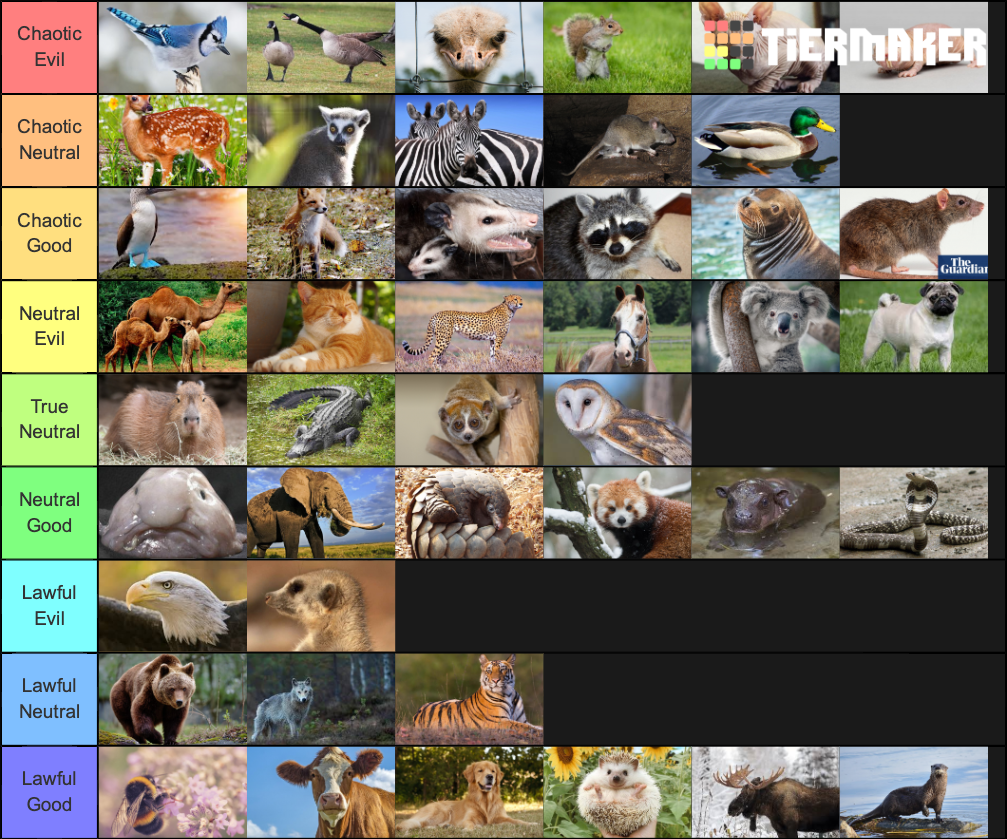 Animal D&D Alignment Tier List (Community Rankings) - TierMaker