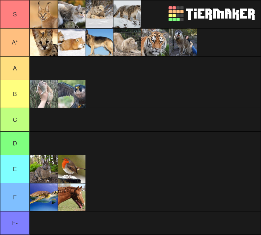 animal ranking Tier List (Community Rankings) - TierMaker