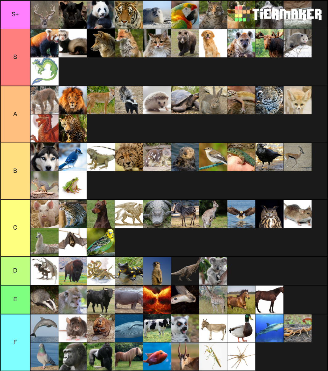 Animal Species Tier List (Community Rankings) - TierMaker