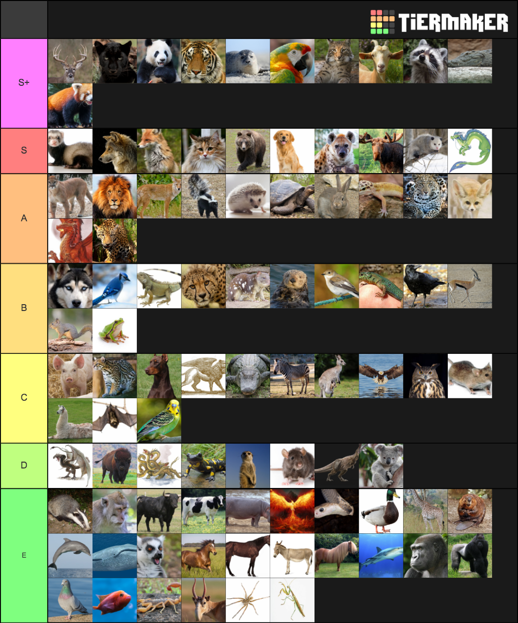 Animal Species Tier List (Community Rankings) - TierMaker