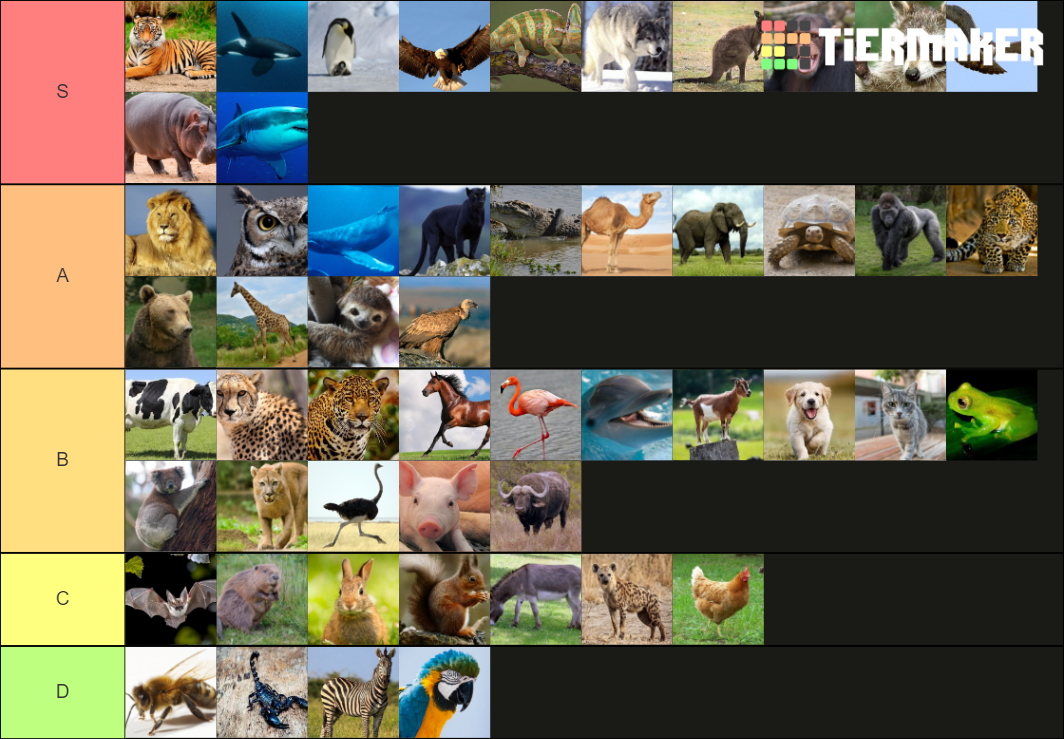 ANIMALES Tier List (Community Rankings) - TierMaker
