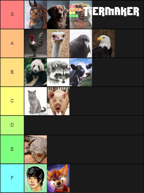 Animals and one human Tier List (Community Rankings) - TierMaker