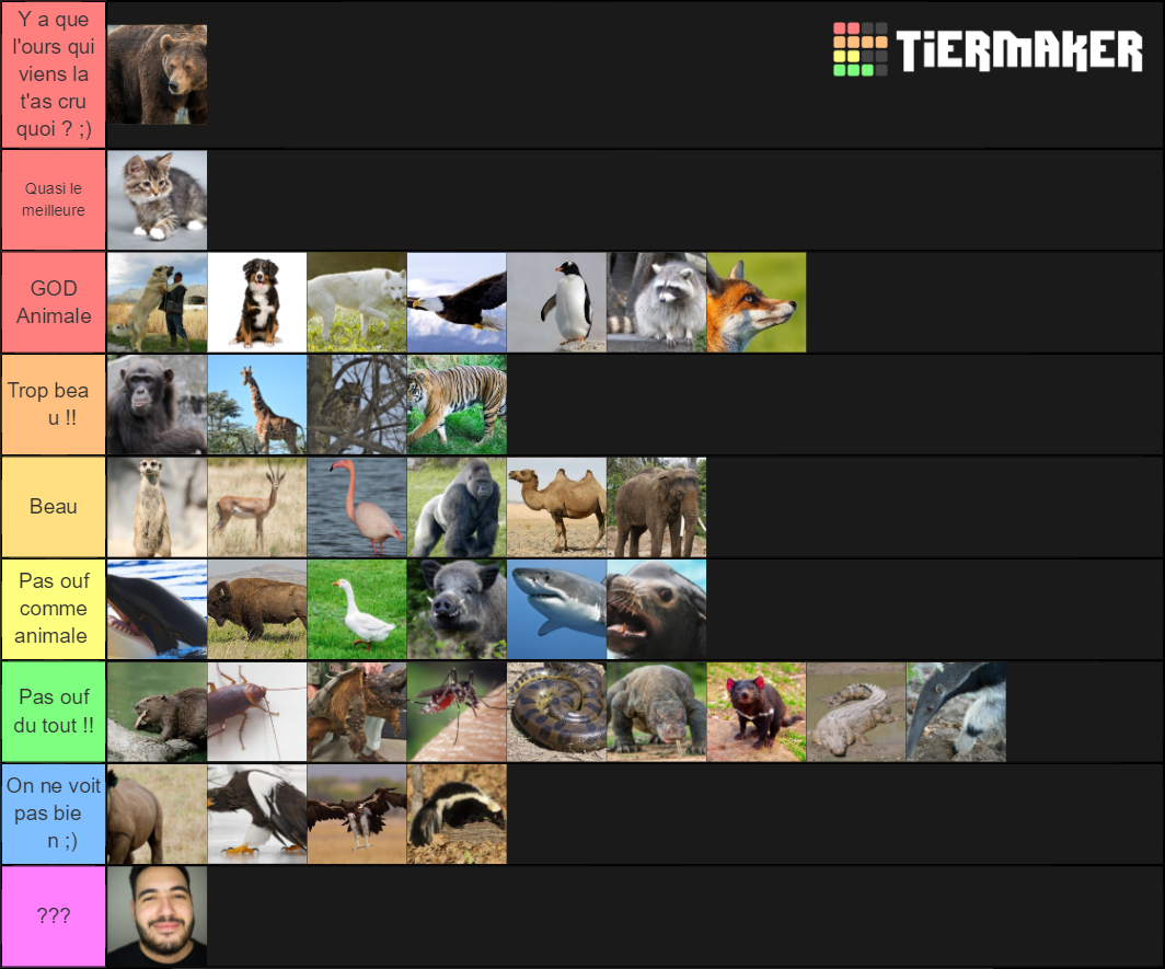 Animaux tierlist Tier List (Community Rankings) - TierMaker