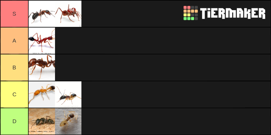 Ants Tier List (Community Rankings) - TierMaker