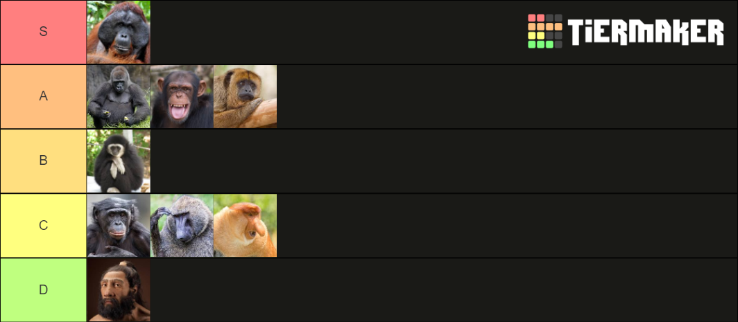 Ape/Monkeys Tier List (Community Rankings) - TierMaker