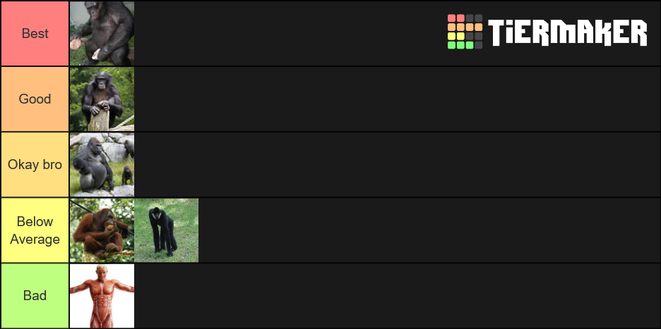 Ape Ranking List Tier List (Community Rankings) - TierMaker