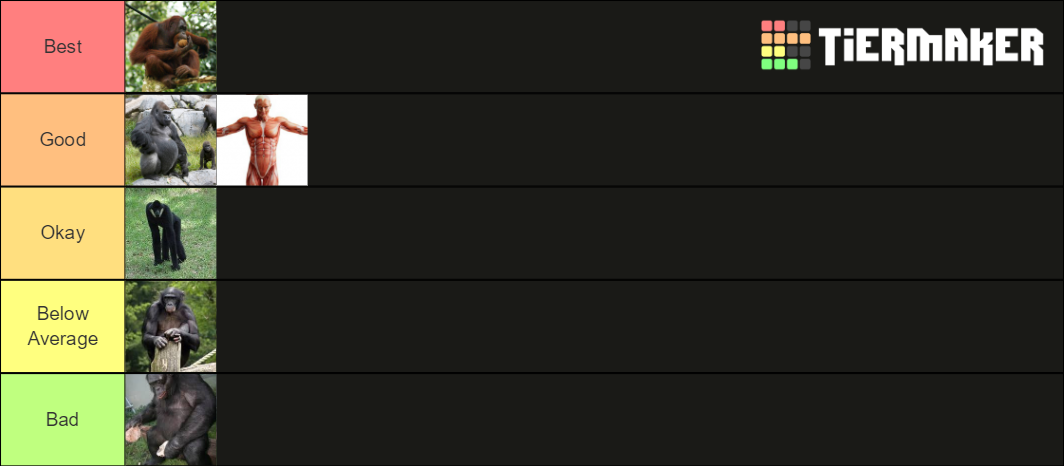 Ape Ranking List Tier List (Community Rankings) - TierMaker