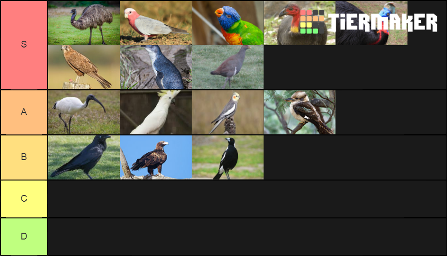 Australian Bird Tier List (Community Rankings) - TierMaker
