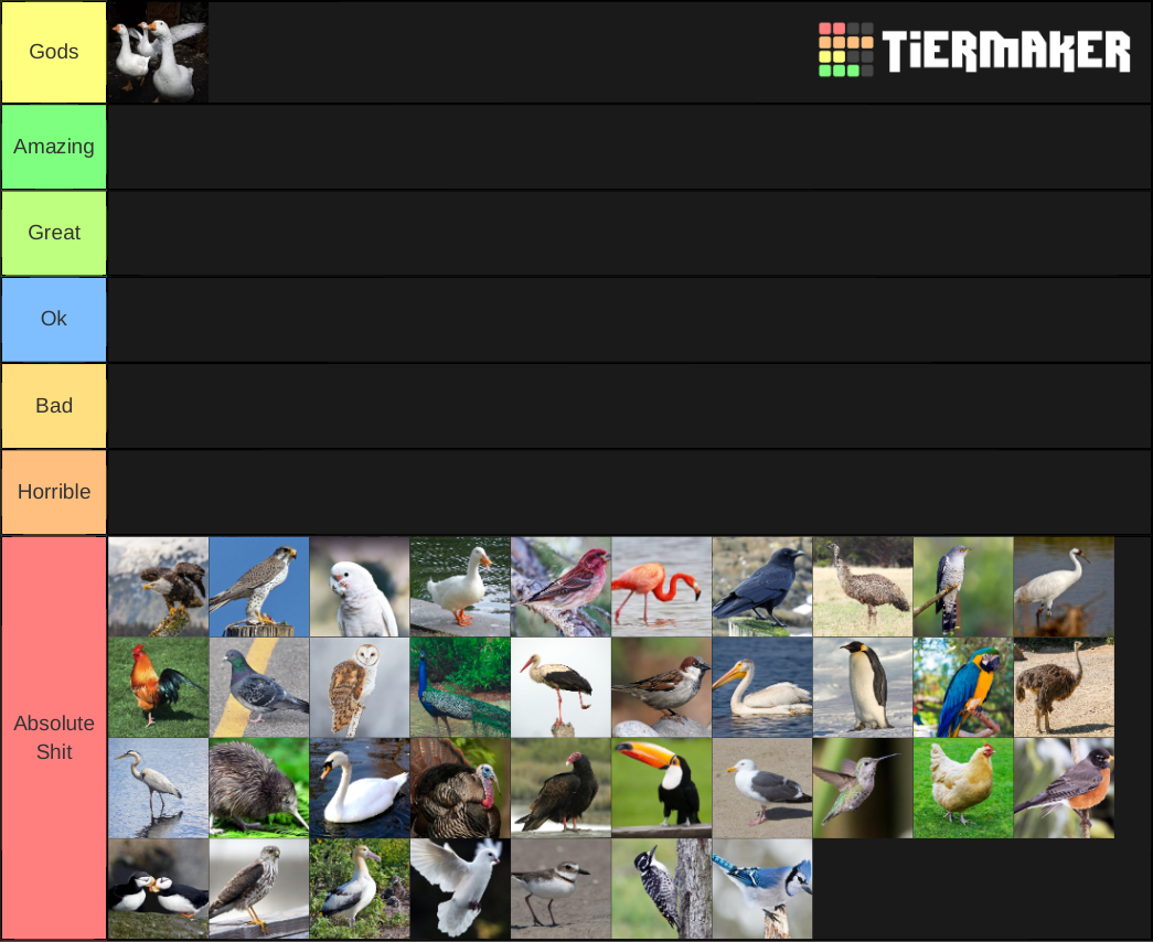 Best Birds Tier List (Community Rankings) - TierMaker