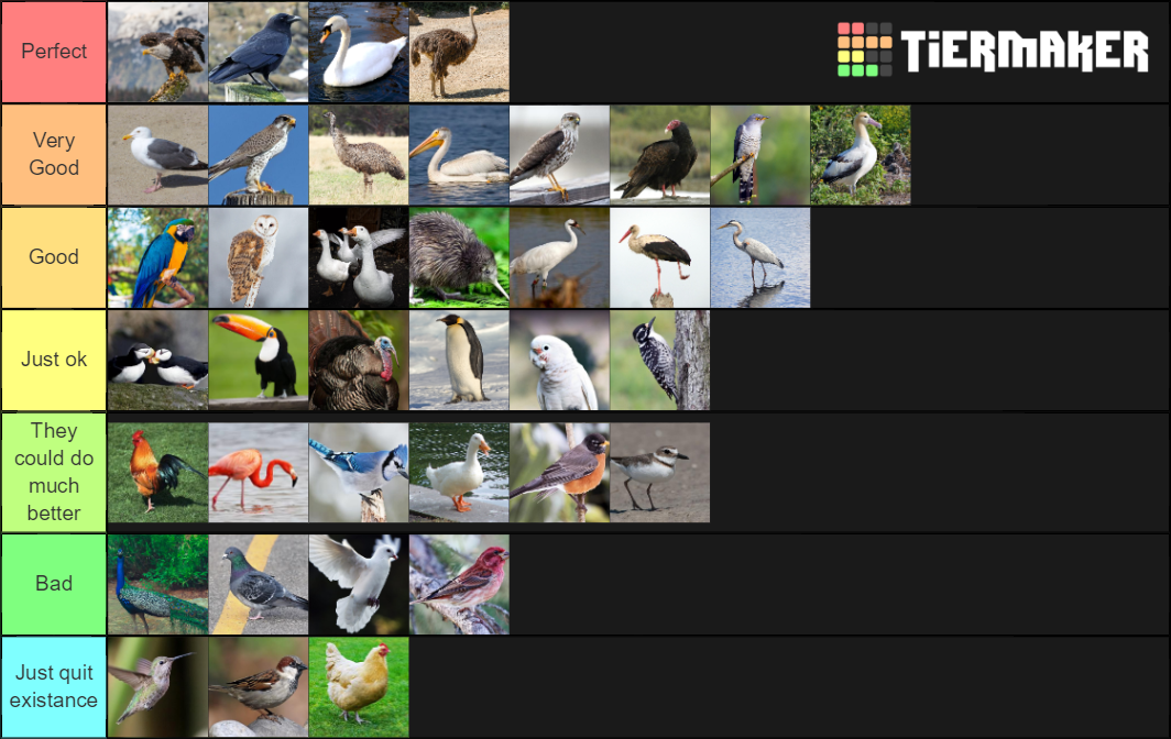 Best Birds Tier List (Community Rankings) - TierMaker