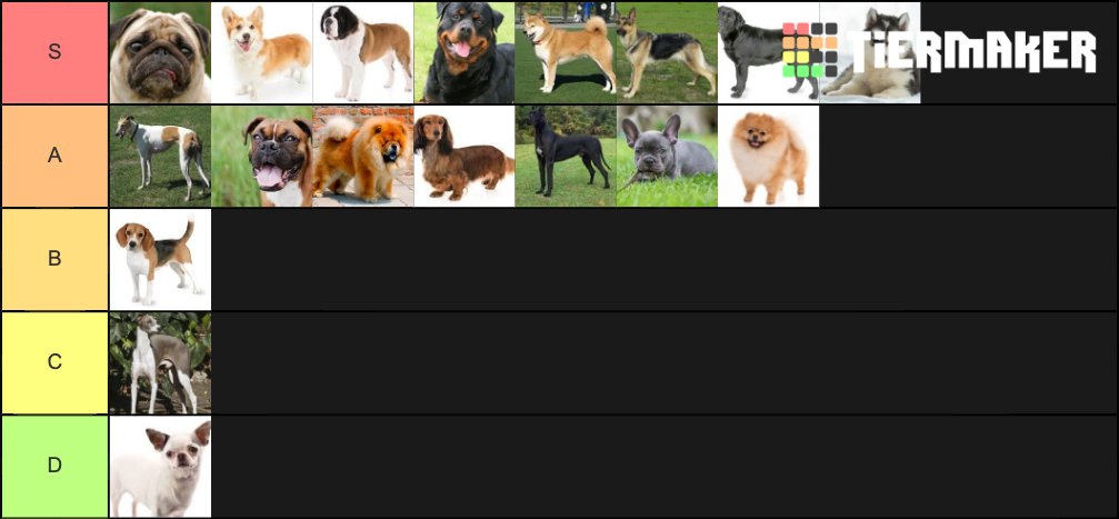 Best dog breeds! Tier List (Community Rankings) - TierMaker