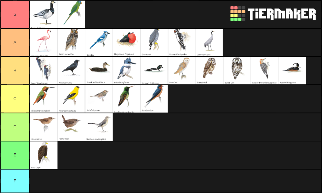 birds Tier List (Community Rankings) - TierMaker
