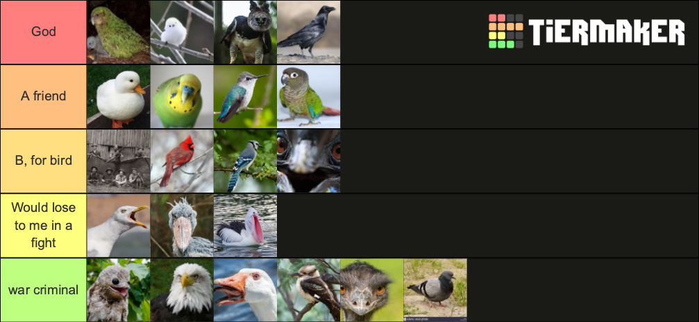 Birds, ranked by me. Tier List (Community Rankings) - TierMaker