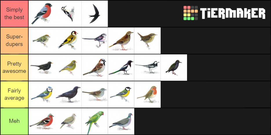 British Garden Birds Tier List (Community Rankings) - TierMaker
