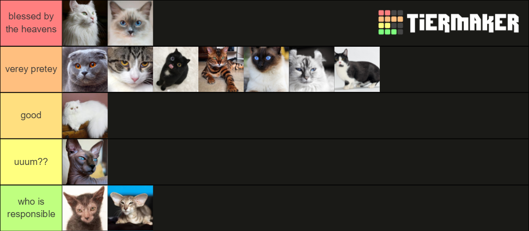 cat breeds Tier List (Community Rankings) - TierMaker