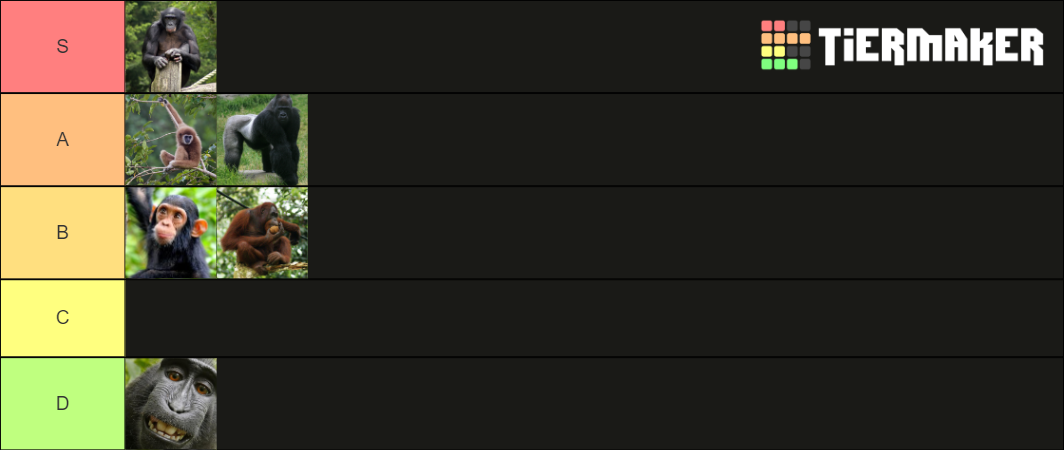 chimp ape monkey Tier List (Community Rankings) - TierMaker