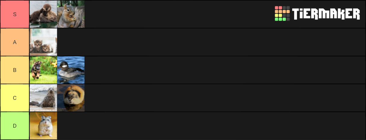 Cutest Animals Tier List (Community Rankings) - TierMaker