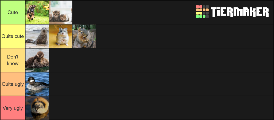 Cutest Animals Tier List (Community Rankings) - TierMaker