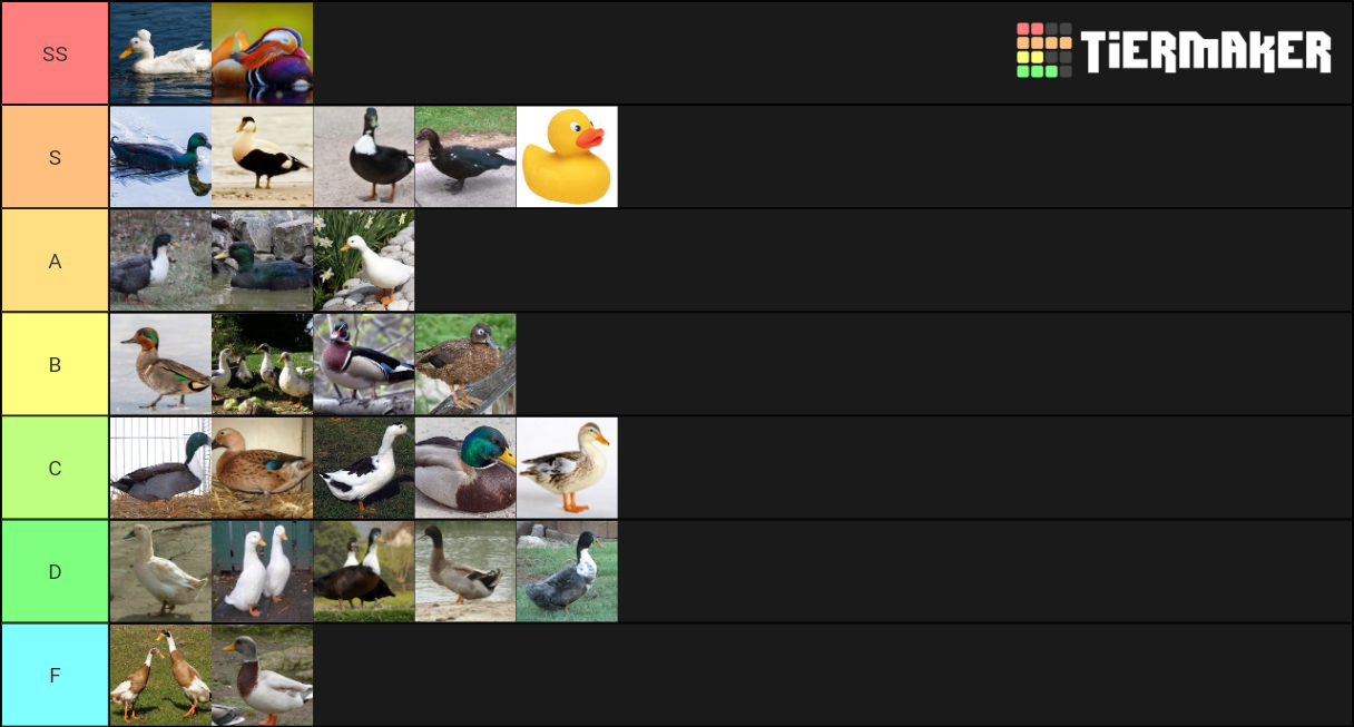 Duck Tier List (Community Rankings) - TierMaker