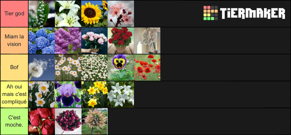 Flowers Tier List (Community Rankings) - TierMaker