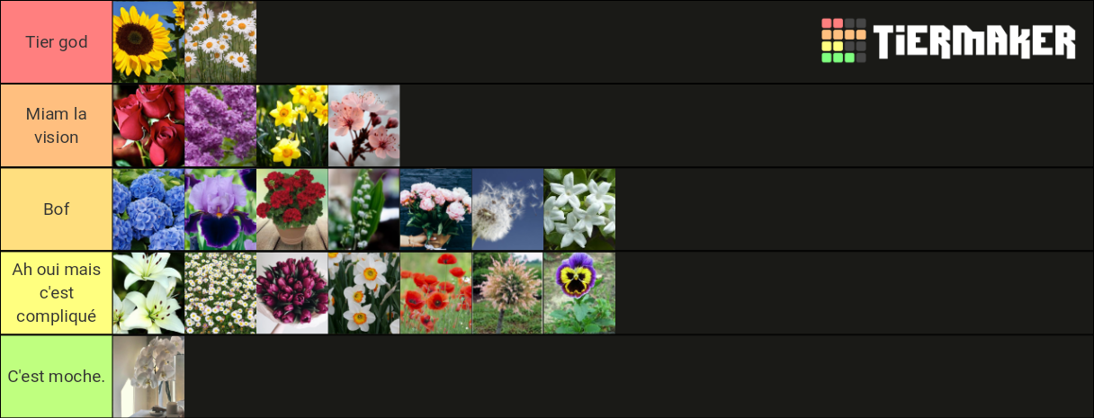 Flowers Tier List (Community Rankings) - TierMaker