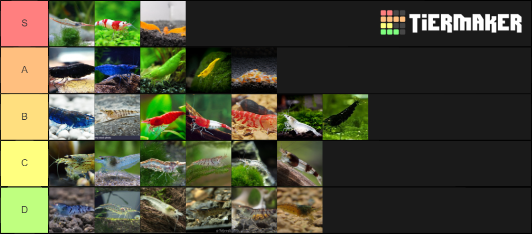 freshwater shrimp Tier List (Community Rankings) - TierMaker