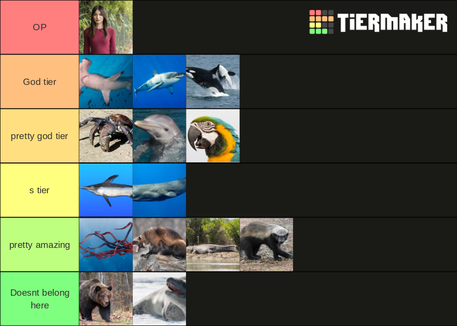 Godly animals 2 Tier List (Community Rankings) - TierMaker