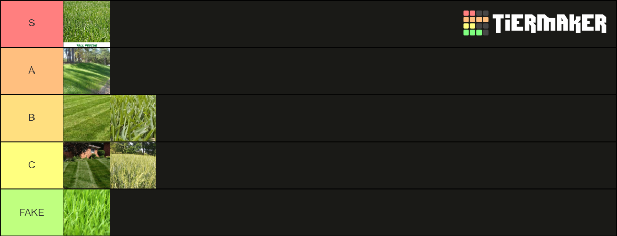 Grass Tier List (Community Rankings) - TierMaker