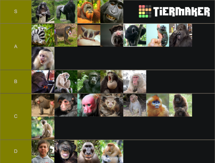 monkey Tier List (Community Rankings) - TierMaker