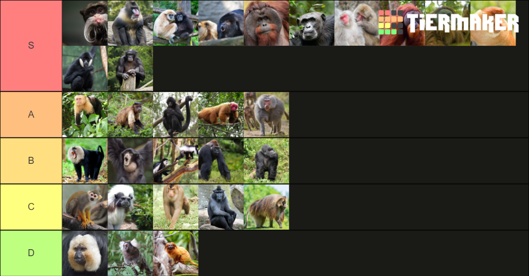 Monkey & Ape Tier List (Community Rankings) - TierMaker