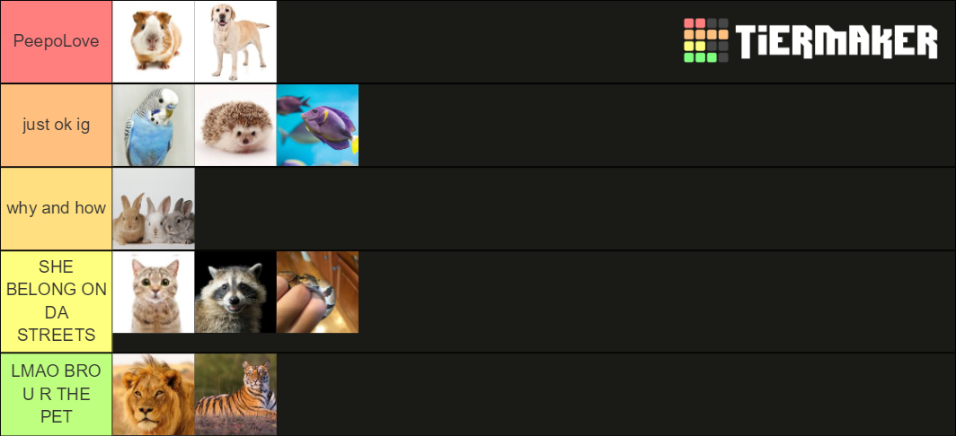 Pets common and exotic Tier List (Community Rankings) - TierMaker