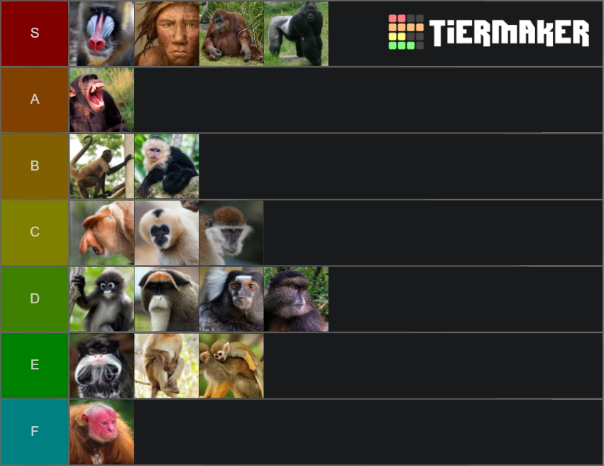 Primate Tier List (Community Rankings) - TierMaker