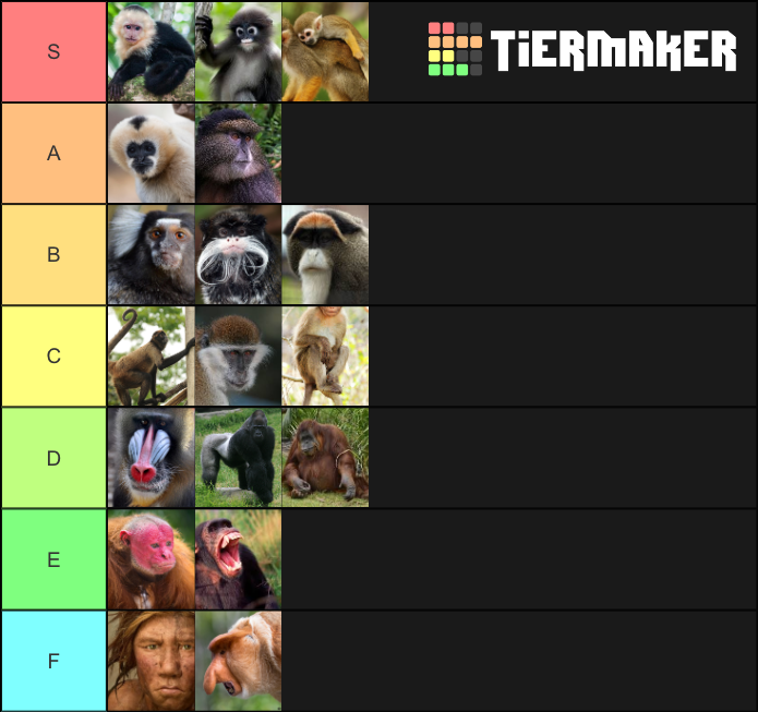 Primate Tier List (Community Rankings) - TierMaker