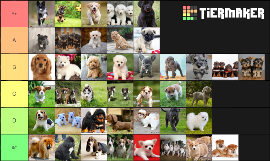Puppy Cuteness Tier List (Community Rankings) - TierMaker