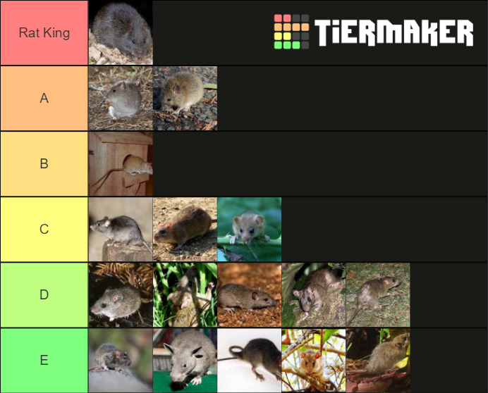 Rats Tier List (Community Rankings) - TierMaker