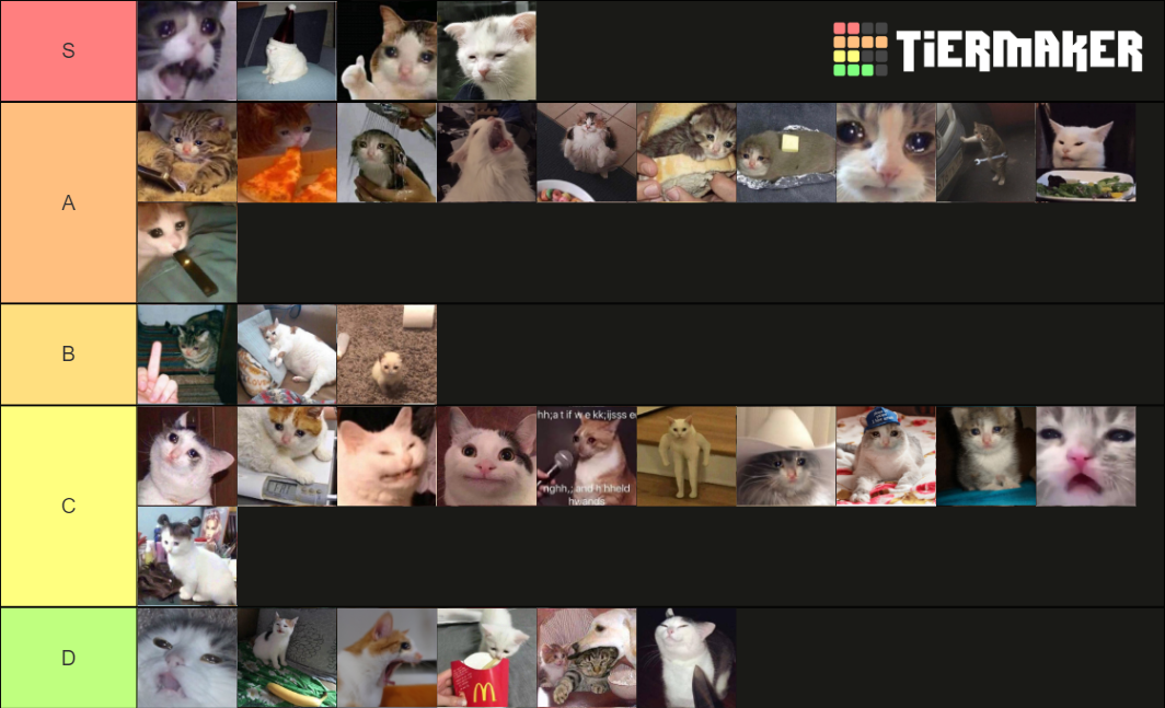 sadcat memes Tier List (Community Rankings) - TierMaker