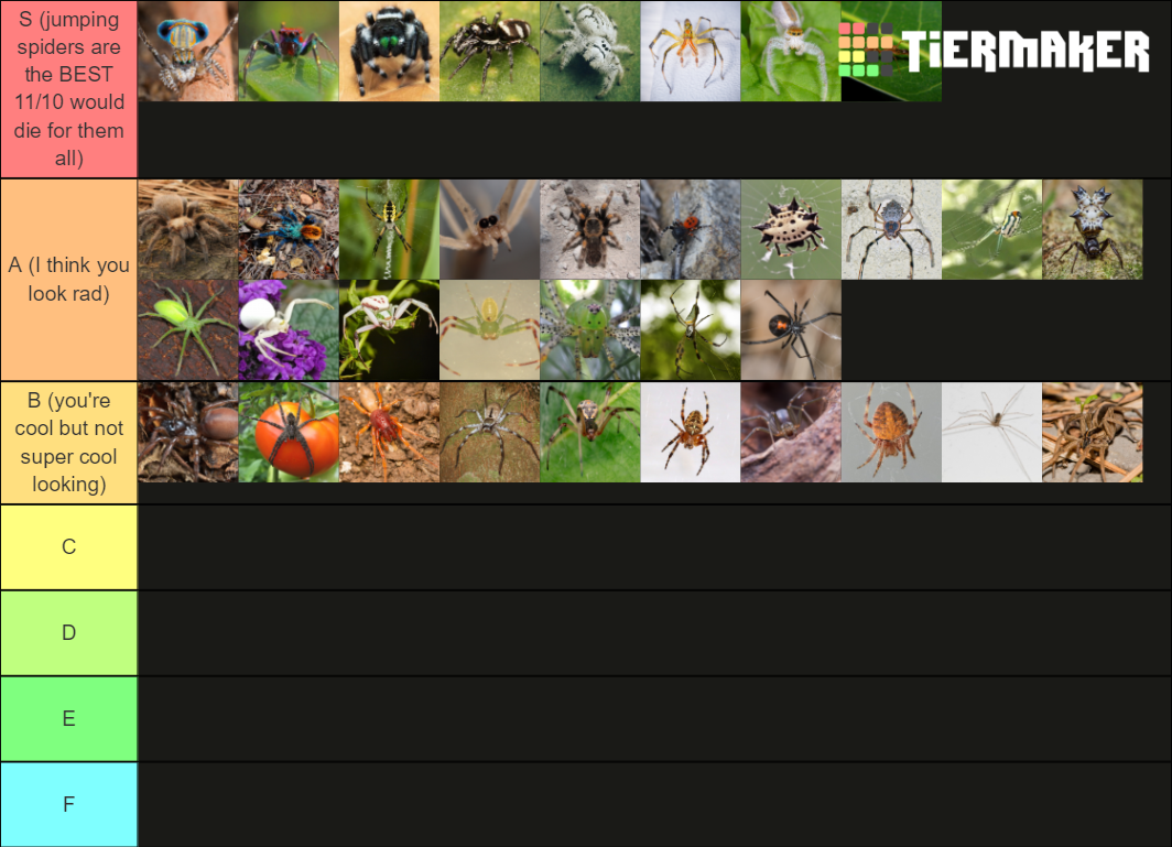 Spiders Tier List (Community Rankings) - TierMaker