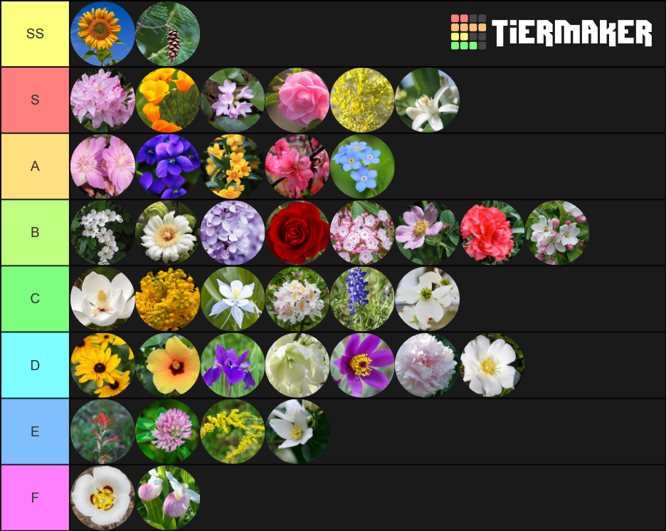 State Flower Tierlist Tier List (Community Rankings) - TierMaker