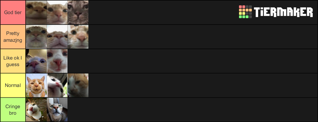Swag cat (emotional) Tier List (Community Rankings) - TierMaker