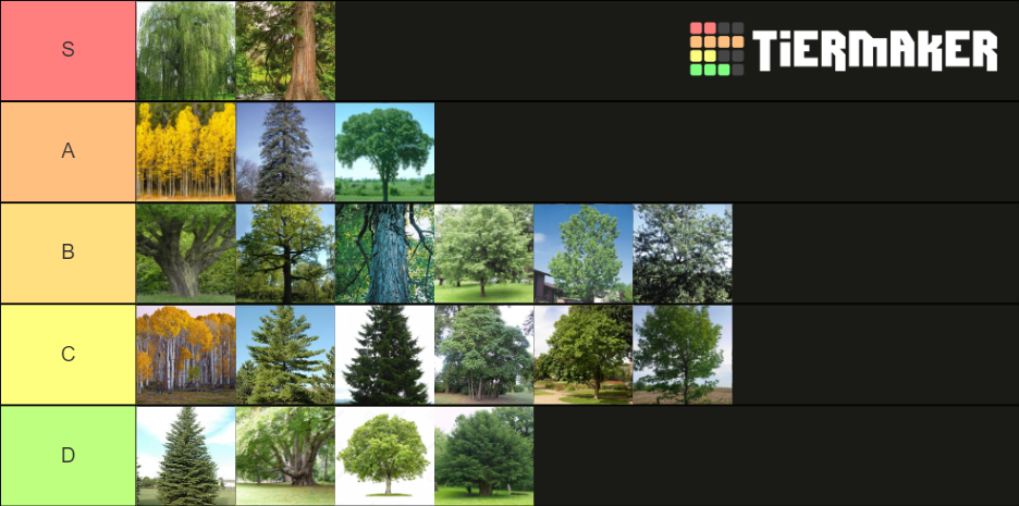 Trees Tier List (Community Rankings) - TierMaker