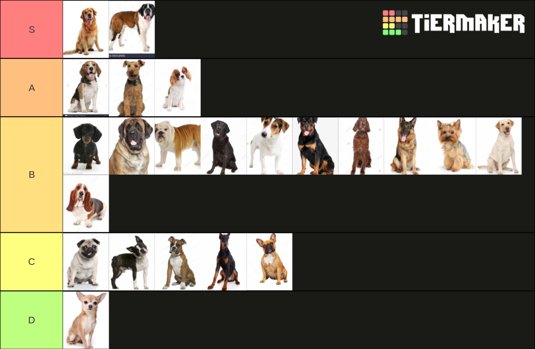 Types of Dogs Tier List (Community Rankings) - TierMaker