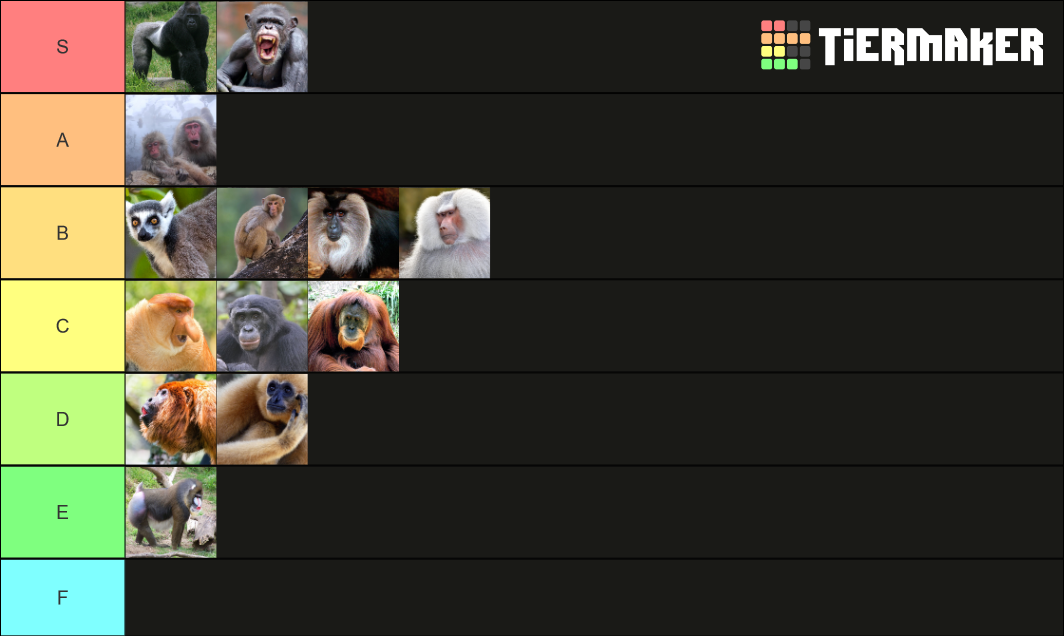Ultimate Monkey Tier List (Community Rankings) - TierMaker