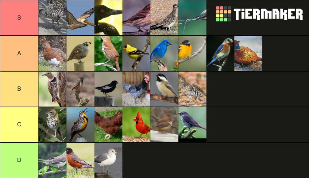 U.S. State Birds Tier List (Community Rankings) - TierMaker