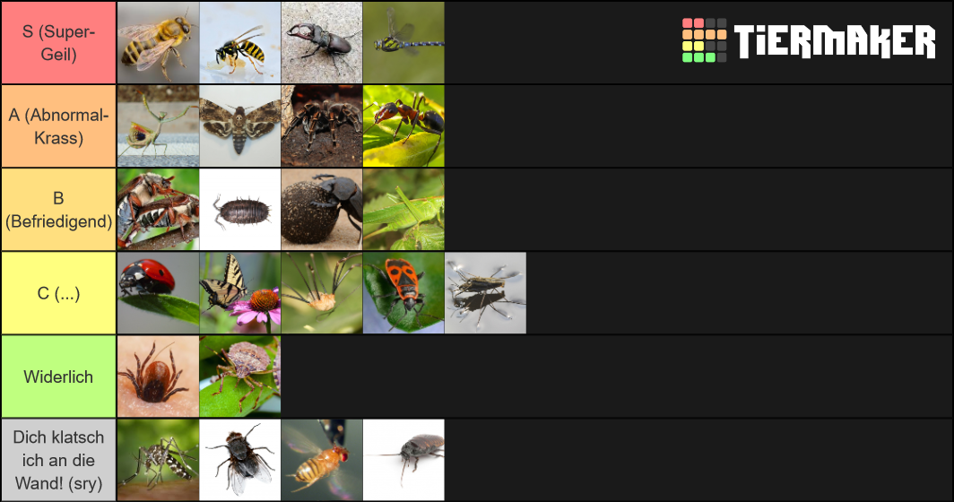Various Insects (and Spiders) Tier List (Community Rankings) - TierMaker