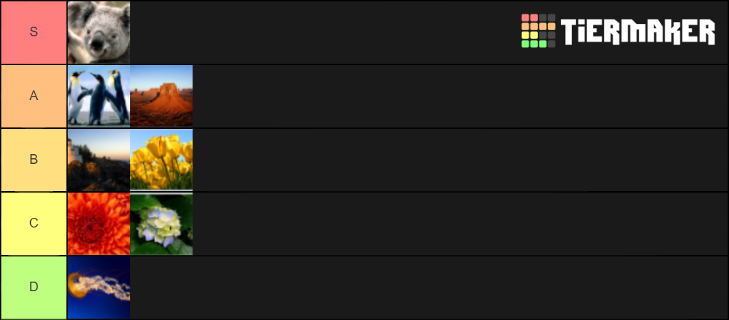 Windows 7 Sample Pictures Tier List (Community Rankings) - TierMaker