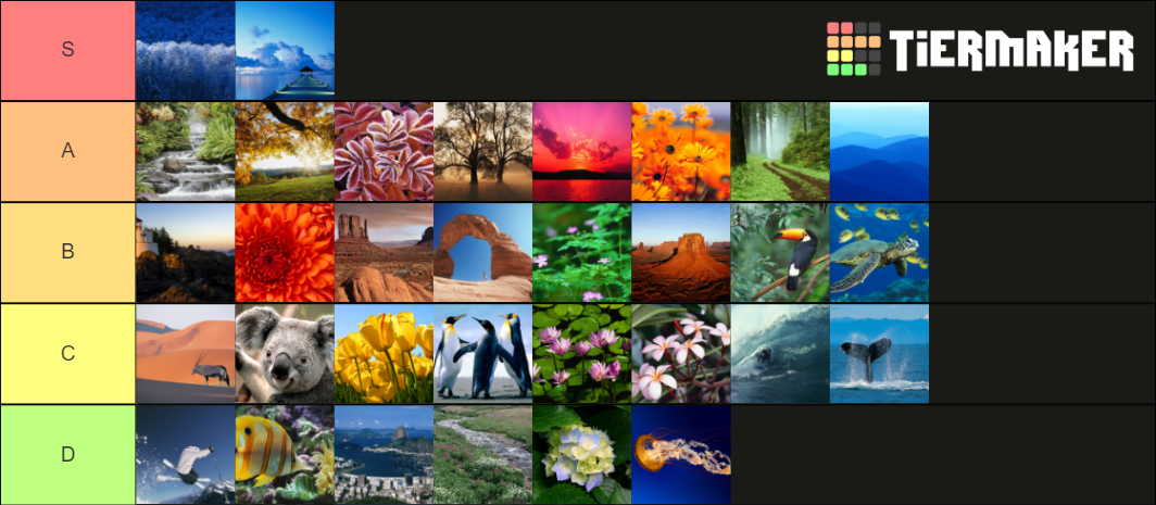 Windows Sample Pictures Tier List (Community Rankings) - TierMaker